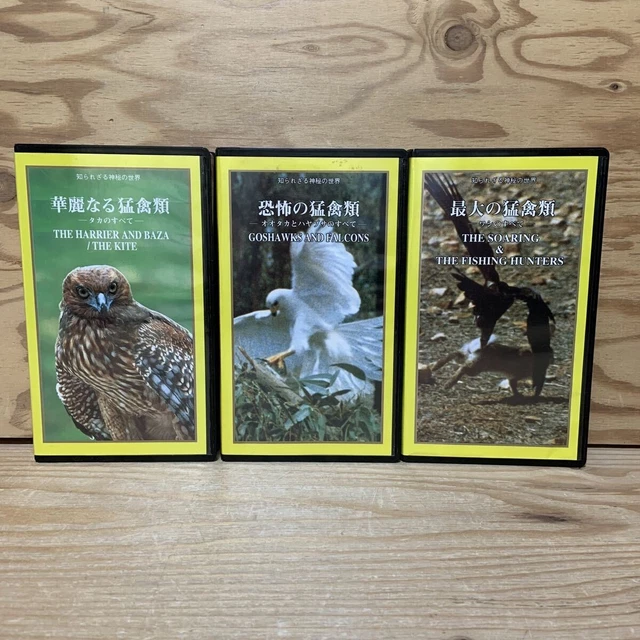 Y11J3-250916 RARE [VHS Scary Birds of Prey, st Birds of Prey ...
