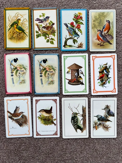 ROBIN WREN FINCH Roses Flowers Birds Butterfly Artist Artwork Swap ...