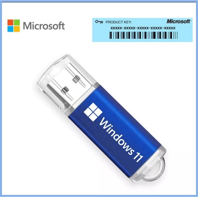 WINDOWS 11 PRO Bootable USB Installation / Recovery Pen Includes ...