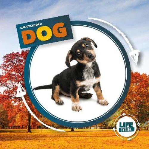 LIFE CYCLE OF a Dog (Life Cycle of A...) by Kirsty Holmes £13.94 ...