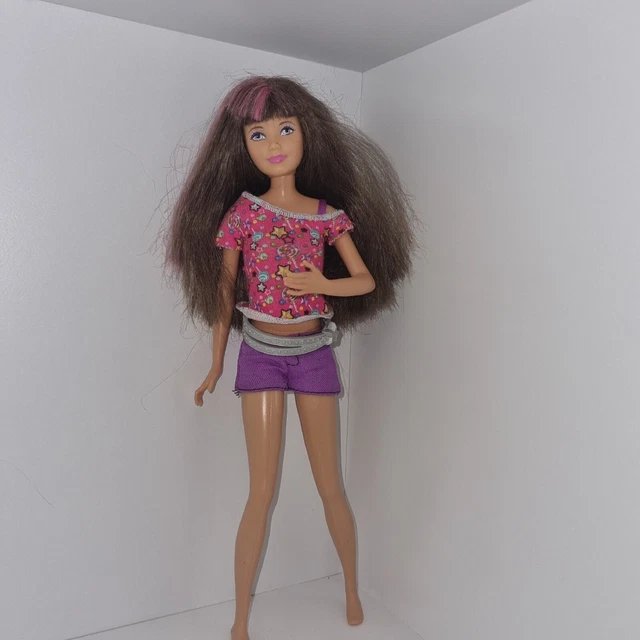 BARBIE SISTER SKIPPER Teen Doll Brunette Hair with Pink Streak 2010 ...
