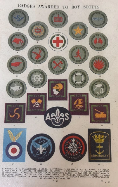 VINTAGE BOY SCOUTS / Scouting Poster Badges Awarded to Boy Scouts £5.92 ...