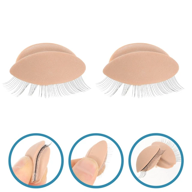 3 PAIRS EYE Mannequin for Lashes Eyelid Eyelashes Extension Practice ...