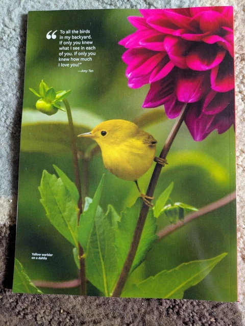 BIRD & BLOOMS February 2026 Magazine Backyard Bird Field Guide Favorite ...