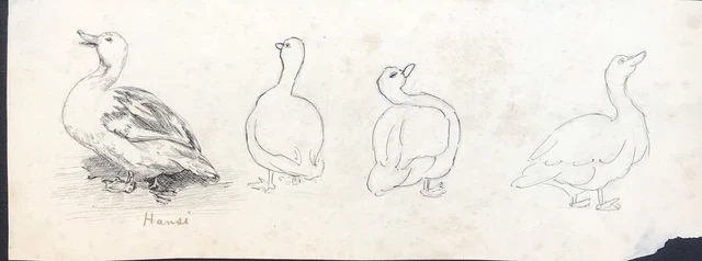 RARE ORIGINAL DRAWING by Hansi Lead Mine Duck or Goose Study B2.70 £282 ...