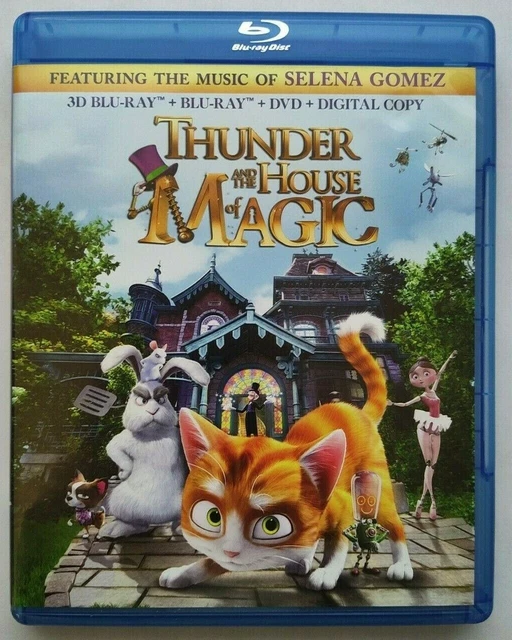 THUNDER AND THE House of Magic (DVD Disc ONLY,2013,Canadian) $10.80 ...
