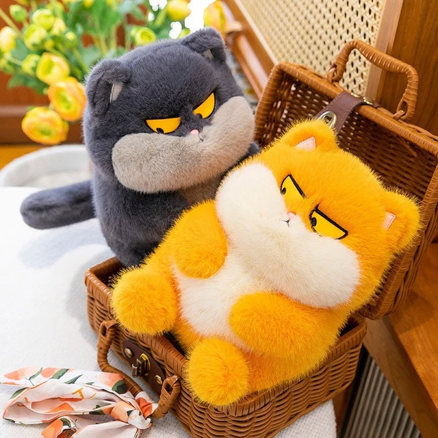 CUTE CARTOON COOL Expression Cat Plush Toy Pillow For Kids And ...
