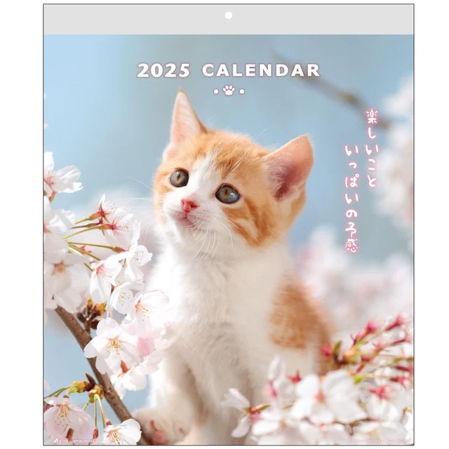 ACTIVE CORPORATION 2025 Calendar Wall Hanging CAT Wall Calendar 25ACL ...