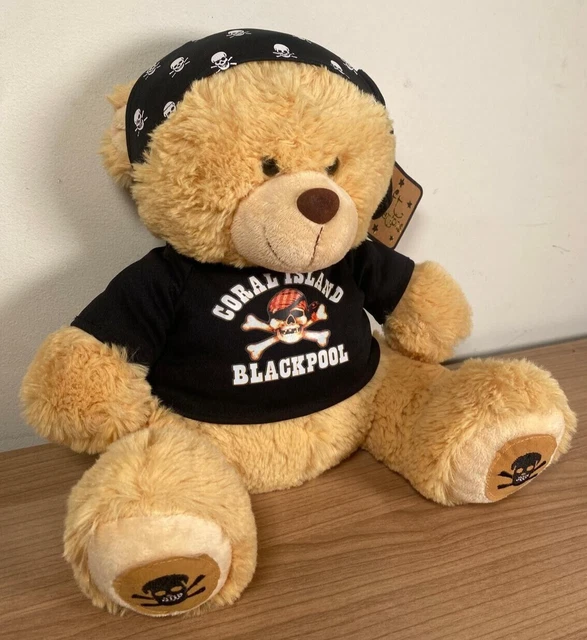 CORAL ISLAND BLACKPOOL Pirate Teddy Bear Plush 11" £11.99 - PicClick UK