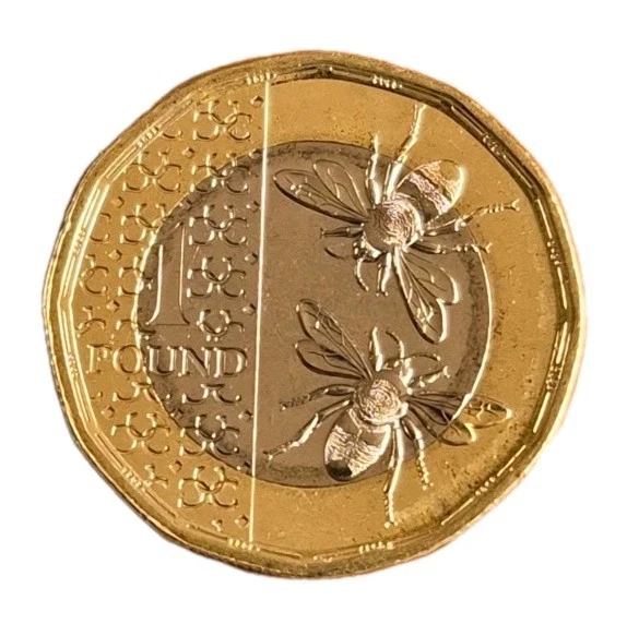 2025 BEES £1 ONE POUND coin £5.42 - PicClick UK