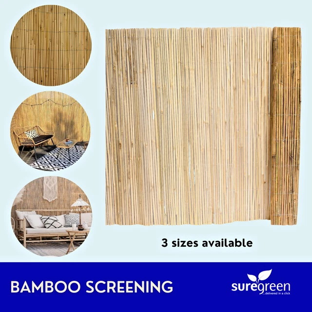 SUREGREEN SPLIT BAMBOO Screening | 2m x 4m £37.99 - PicClick UK