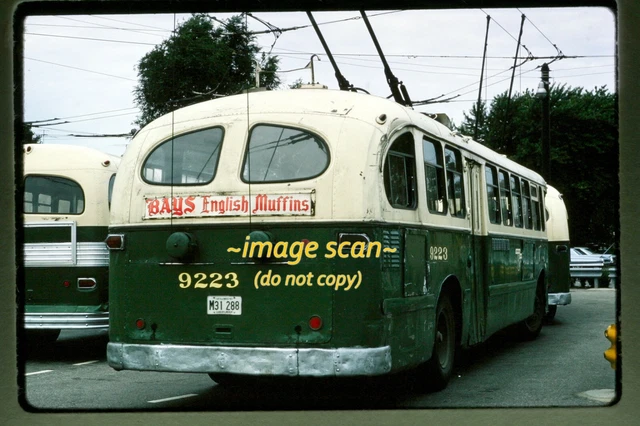 CTA CHICAGO TRANSIT Trolley Bus 9223 in 1965, Kodachrome Slide h17a £37 ...