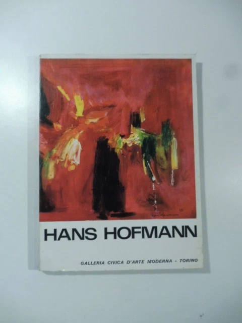 HANS HOFFMANN, CATALOGO mostra Galleria Civica d'Arte Moderna Torino 1965 EUR 30,00 - PicClick FR