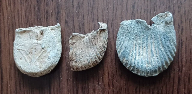 MEDIEVAL. 14TH-15TH CENTURY Parts Of The Lead Pilgrim’s Ampulla. Met ...