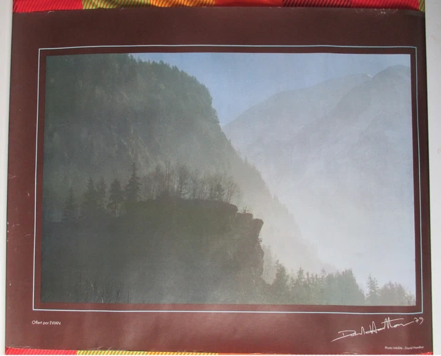 David Hamilton Posters For Sale Picclick Uk
