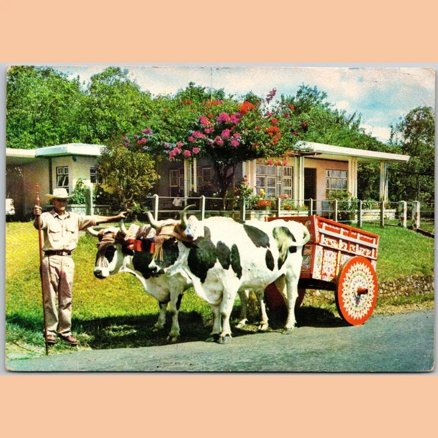 POSTCARD COSTA RICA Ox Cart San Jose Hotel Herradura 1984 $7.25 ...