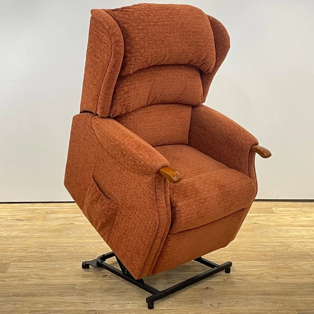 CELEBRITY RISER RECLINER Chair Electric Dual Motor 1 Yr Warranty LARGE ...