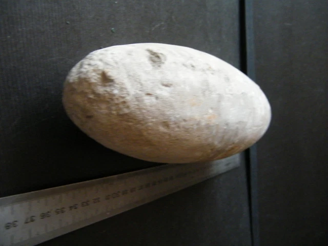 ANCIEN GROS POIDS de pendule ou coucou ou horloge pierre blanche ...