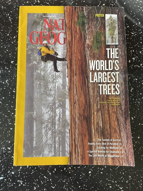 NATIONAL GEOGRAPHIC DECEMBER 2012 The World's Largest Trees Poster Gaza ...