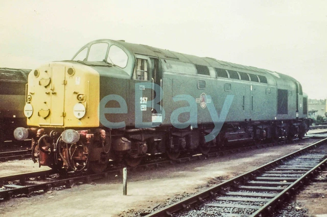 UK RAILWAY PHOTOGRAPH of Class 40 Locomotive D257. RM40-185 £1.70 ...