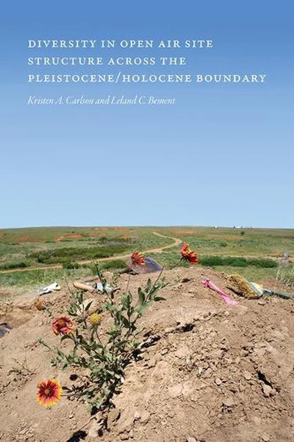 DIVERSITY IN OPEN-AIR Site Structure Across the Pleistocene/Holocene ...