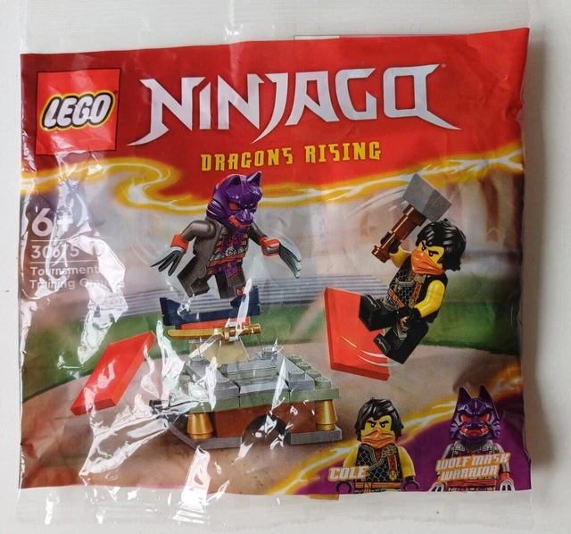 LEGO MINIFIGURE 30675 Ninjago Dragons Rising Tournament Training Ground NUOVO EUR 4,99 - PicClick IT