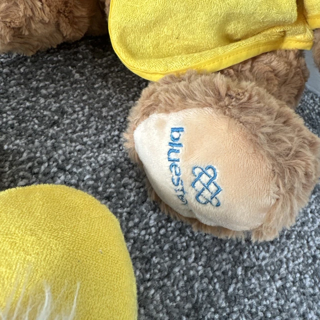 WELSH WALES BLUESTONE Teddy Bear Soft Toy duck costume £13.47 - PicClick UK