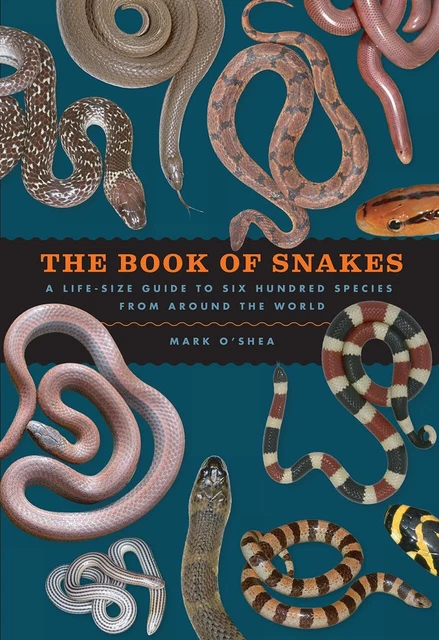 THE BOOK OF Snakes: A Life-Size Guide to Six Hundred Species £50.81 ...