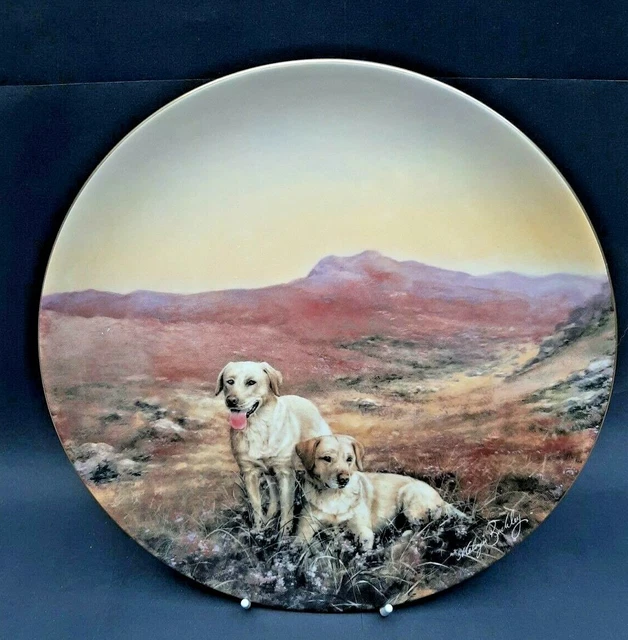 COALPORT SPORTING DOGS Collectors plates. The Yellow Labrador Ltd Edit ...