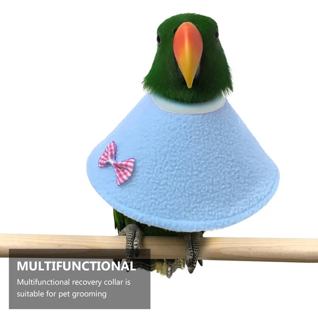 2 PCS ANTI-SCRATCH Elizabeth Circle Bird Protective Recovery Collar ...