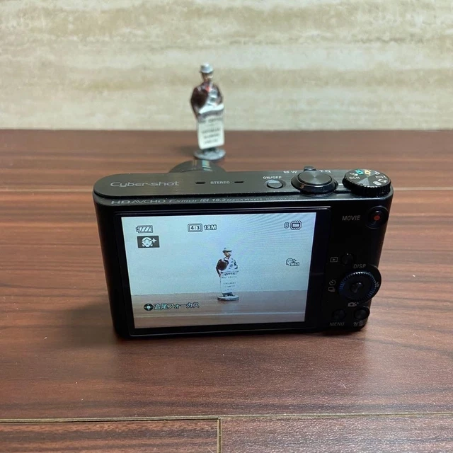 SONY CYBER-SHOT DSC-WX300 Digital Camera Excellent Condition ...