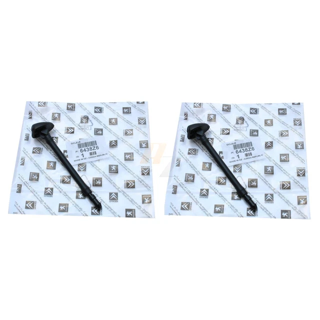 2 BUSE LAVAGE De L'Ecran Avant original Citroen C5 III 6438Z6 EUR 30,19 ...