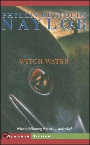PHYLLIS REYNOLDS NAYLOR Witch Water (Poche) EUR 13,93 - PicClick FR