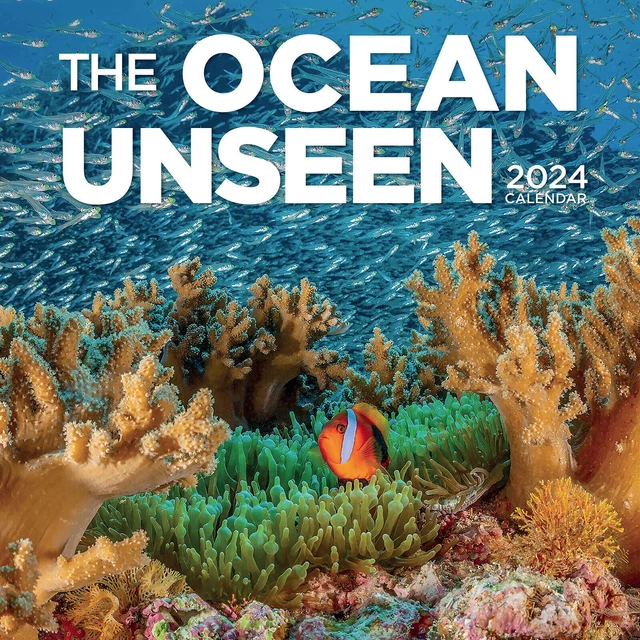 CALENDRIER MURAL WORKMAN Ocean Unseen 2024 avec EUR 18,46 - PicClick FR