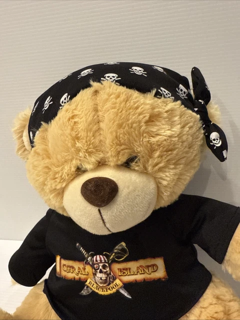 PIRATE TEDDY BEAR Coral Island Blackpool Plush Soft Toy Teddy £10.99 ...