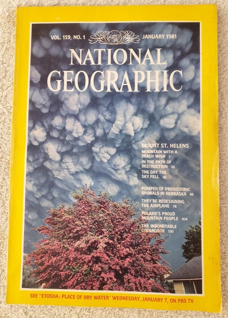 NATIONAL GEOGRAPHIC JANUARY 1981 Mt St Helens Ancient Ashfall Poland ...