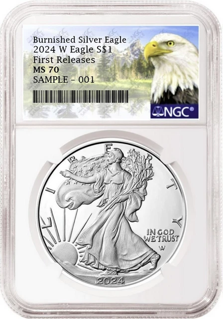 2024 W BURNISHED uncirculated silver eagle ngc ms 70 first releases mtn Pre-sale £0.79 - PicClick UK