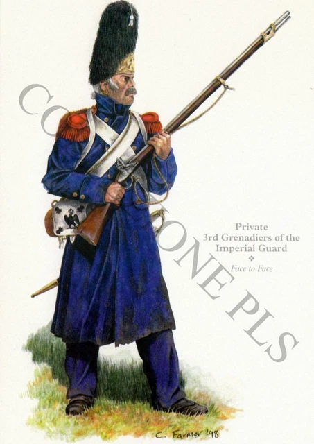 CARTOLINA/POSTCARD: WATERLOO 1815, Private 3rd Grenadiers of the ...