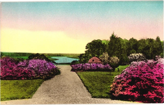 MANSION RUINS MIDDLETON Place Gardens Charleston SC Hand-Colored ...