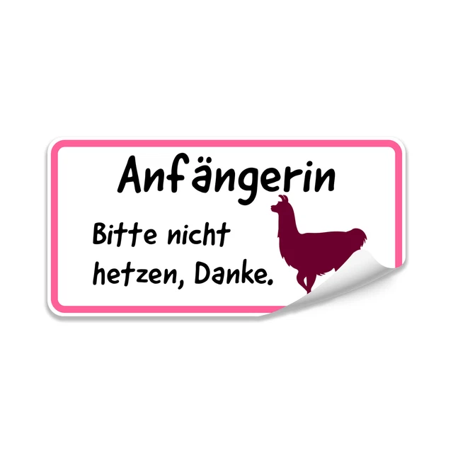 AUTOAUFKLEBER FAHRANFÄNGER AUFKLEBER Anfänger Hinweis Sticker für Kfz ...