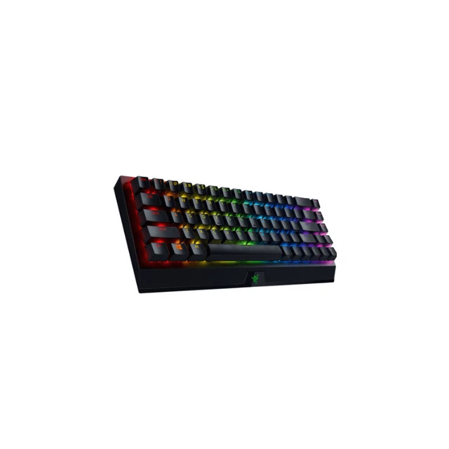 RAZER BLACKWIDOW V3 Mini HyperSpeed Mechanical Gaming Keyboard, RGB LED ...