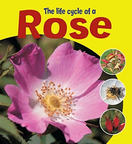 LEARNING ABOUT LIFE Cycles: The Life Cycle of a Rose £3.25 - PicClick UK