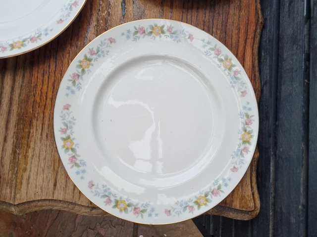 MAYFAIR ALPINE FLOWERS Fine Bone China dinner Plates X 3 £11.49 ...