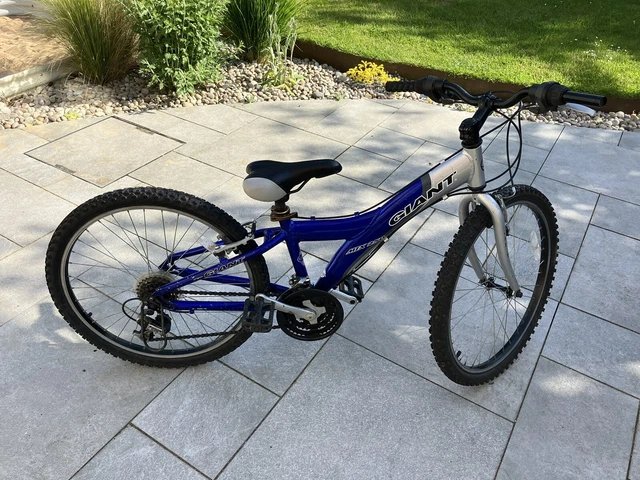 GIANT MTX 250 Kids Mountain Bike 20” Wheel Size £38.00 - PicClick UK