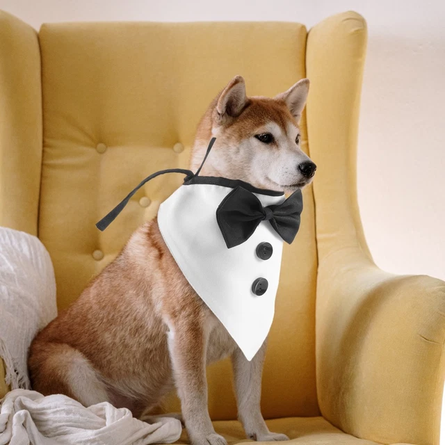 FORMAL DOG TUXEDO Bandana Dog Wedding Attire Collar with Bowtie Pet ...