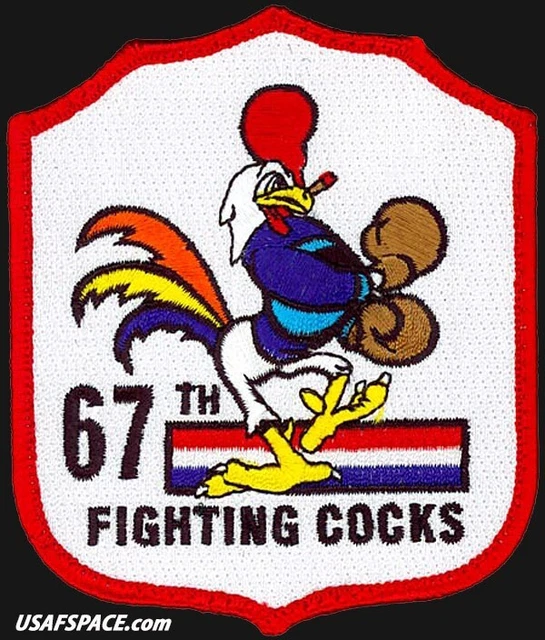 USAF 67TH FIGHTER SQ-F-15C/D Eagle -FIGHTING COCKS-Kadena AB- ORIGINAL ...