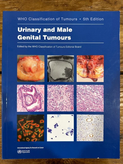 WHO CLASSIFICATION OF Tumours of the Urinary System and Male Genital ...