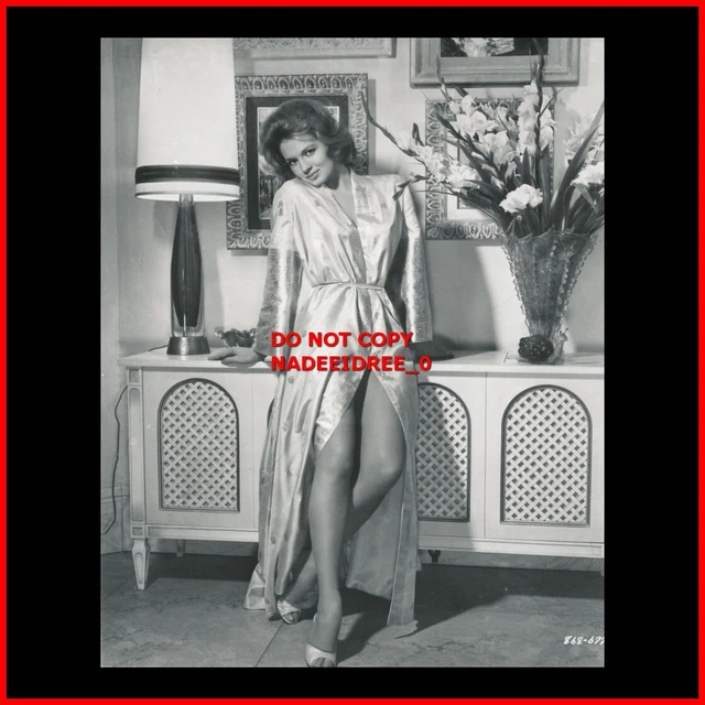 Angie Dickinson American Actress Legendary Sexy Hot Pin Up Great Rare