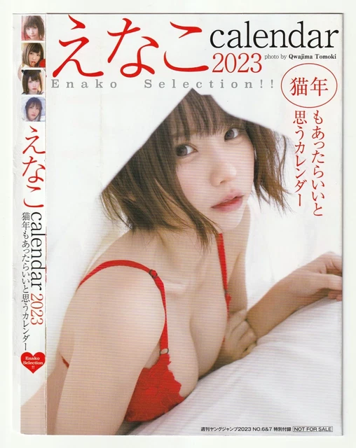 JAPANESE IDOL COSPLAY Girl ENAKO 2023 Calendar Mini Photo Booklet 9 99 japanese-idol-cosplay-girl-enako-2023-calendar-mini-photo-booklet-9-99