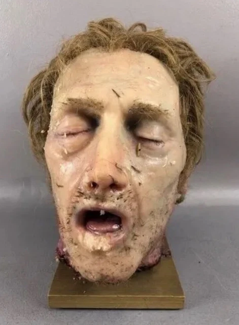 LIFE SIZE HORROR Prop Decapitated & Severed Rotting Head Realistic £349 ...